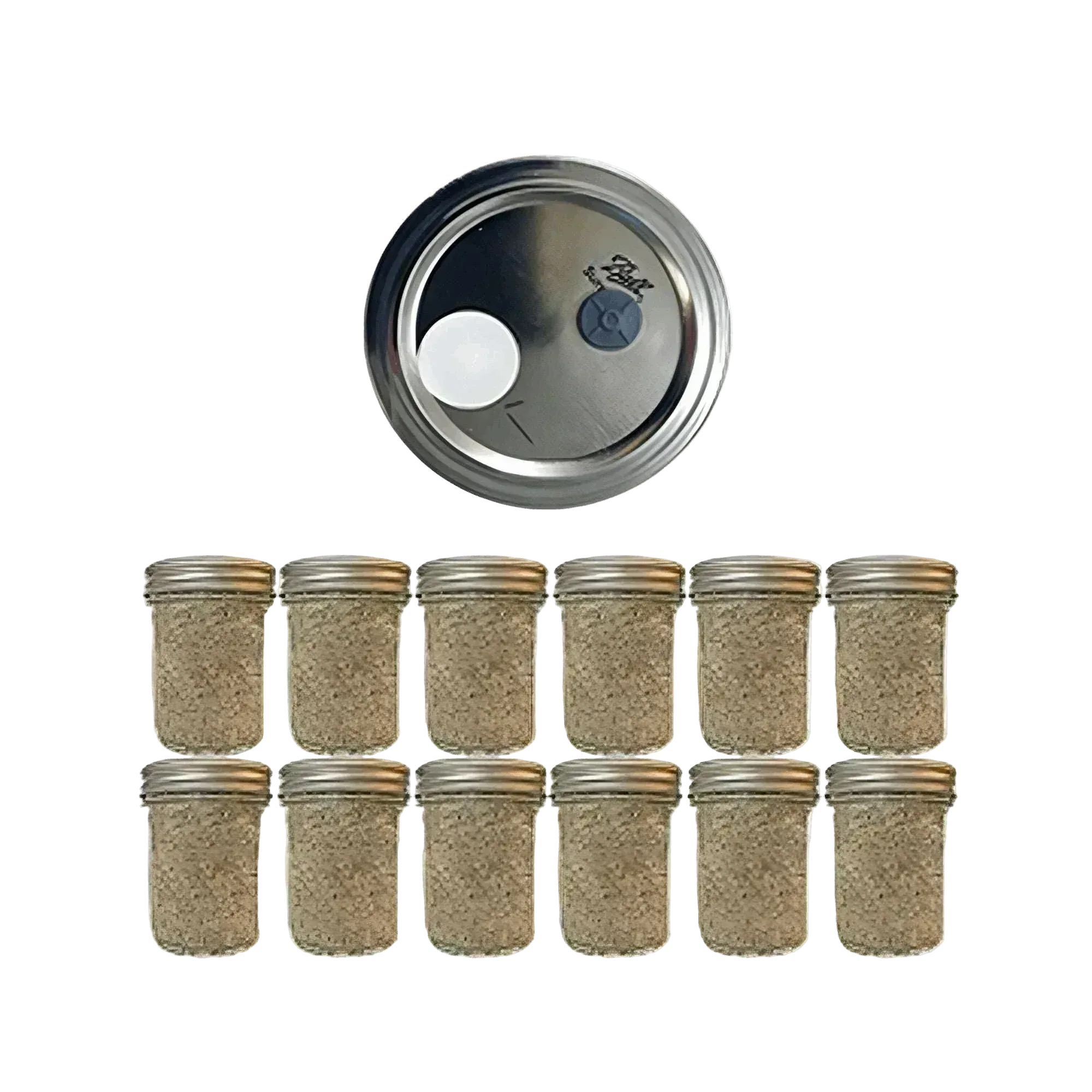 Fruiting and Incubation Temperatures for Oyster Mushroom Cultivation ...